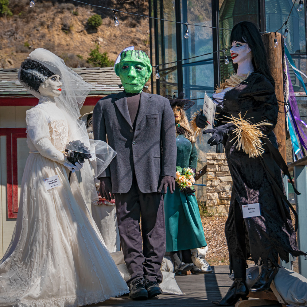 Frank-and-Bride-DSC5554-1